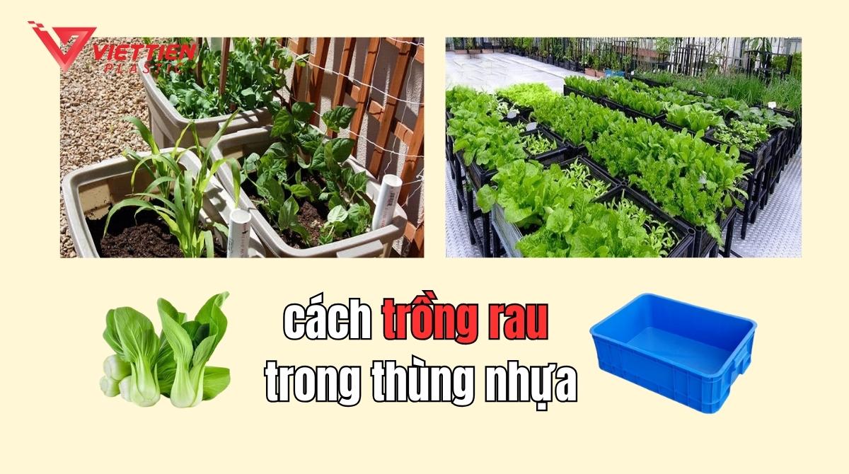 Cách trồng rau trong thùng nhựa giúp rau xanh tốt quanh năm - Nhựa Việt ...